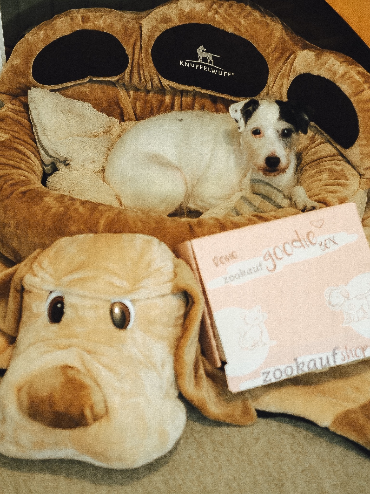 Zookauf-Shop für Tierfutter und Heimtierbedarf - Label Love