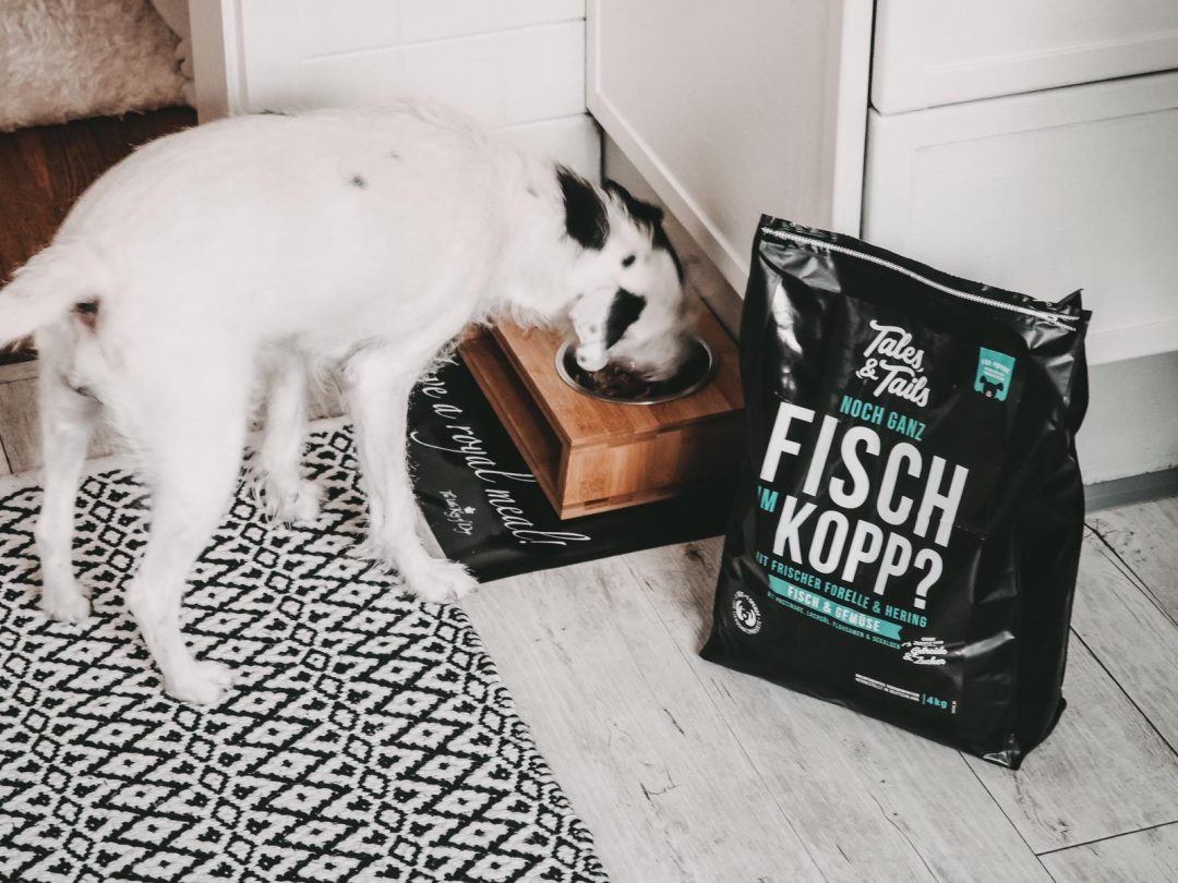 Tales and Tails - schmackhaftes Hundefutter mit Fisch - Label Love